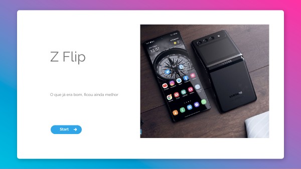 Z Flip