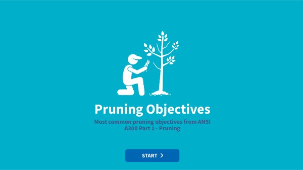 Not used - M2 Pruning Objectives