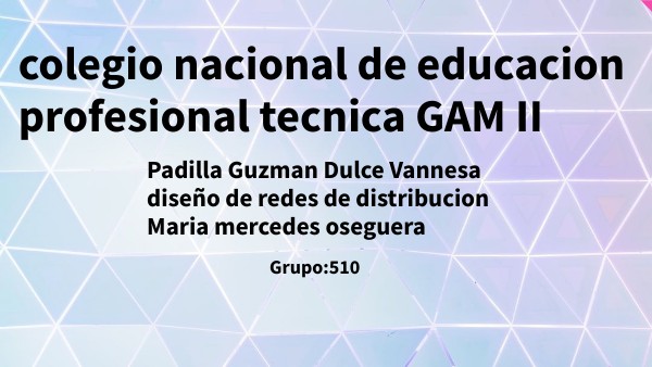 Dulce Vannesa Padilla Guzman