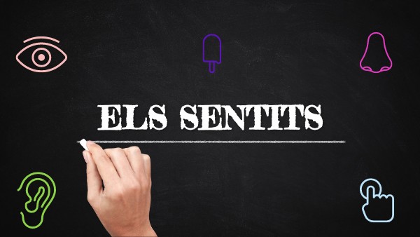 Els sentits | Genially