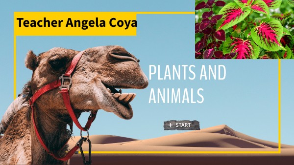 plants and animals