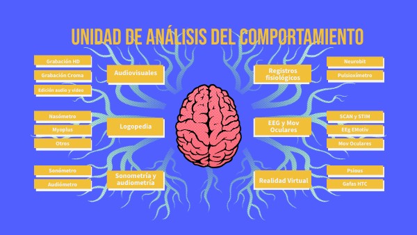 Copy - BRAIN MINDMAP