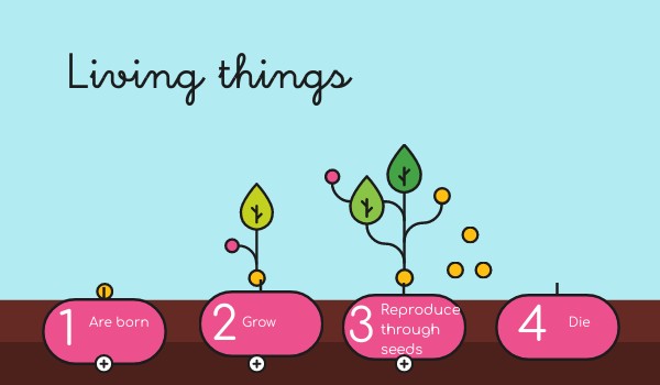 living things -1º U3