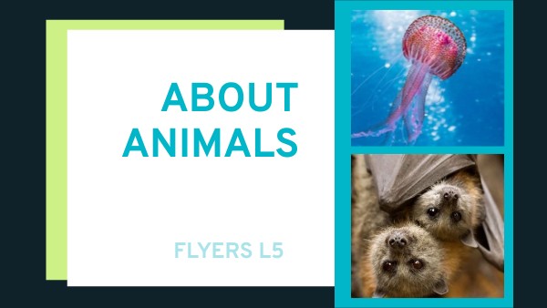 About Animals Flyers L5