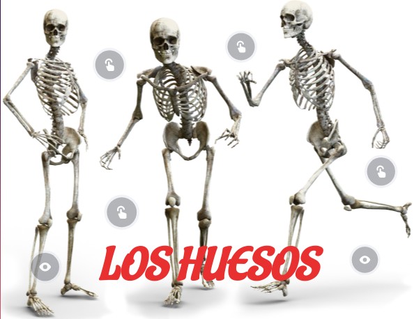 HUESOS