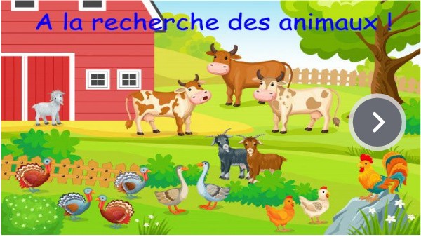 ANIMALS PRESENTATION