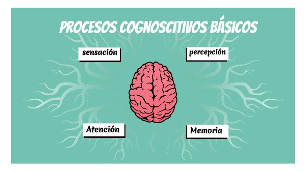 procesos cognoscitivos básicos | Genially