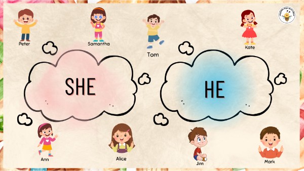 Pronouns - he - she
