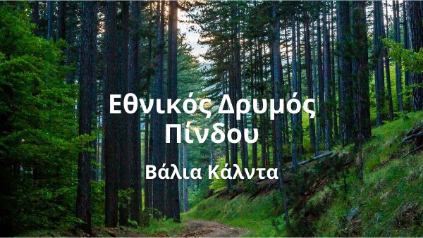 Εθνικός Δρυμός Πίνδου