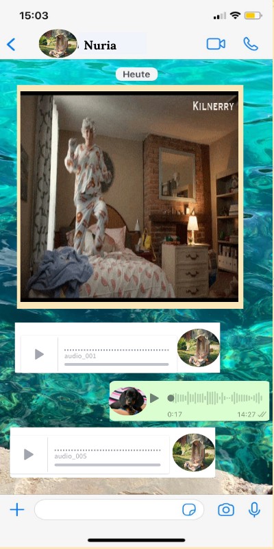 INFO VERTICAL CÉLULAS