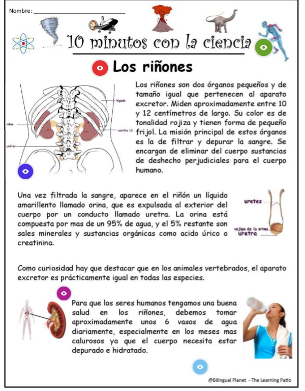 Paratextos | Genially