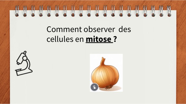 La mitose au microscope optique | Genially
