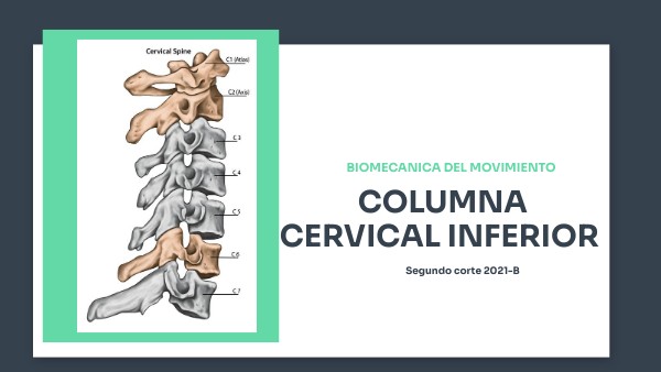 BIOMECANICA_COLUMNA CERVICAL INFERIOR