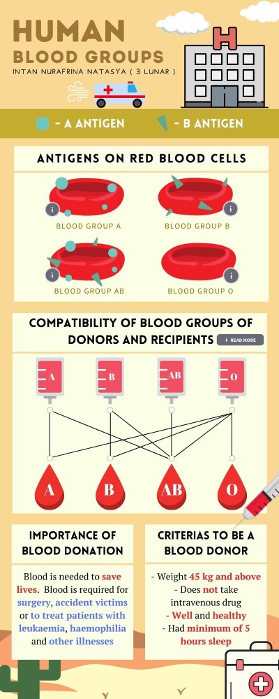 Human Blood | Genially