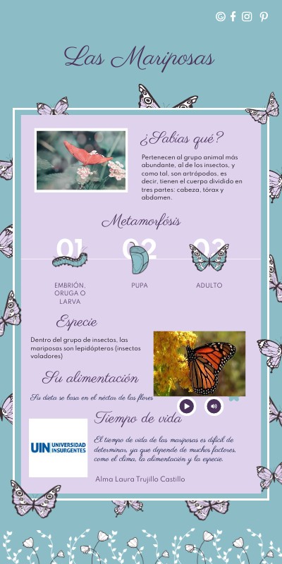 LAS MARIPOSAS