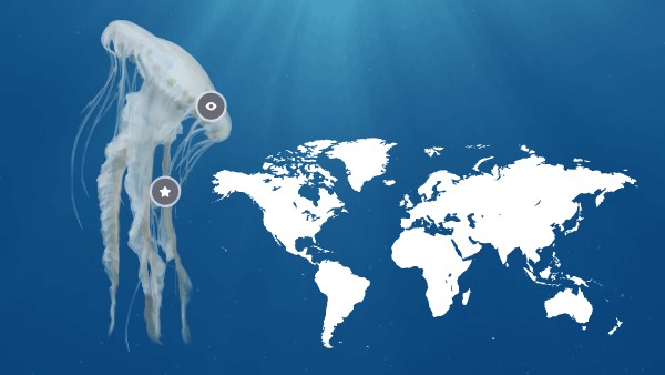 OCEAN PRESENTATION II