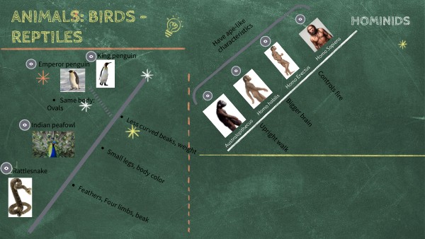 Animals and Hominids