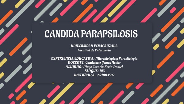 CANDIDA PARAPSILOSIS | Genially