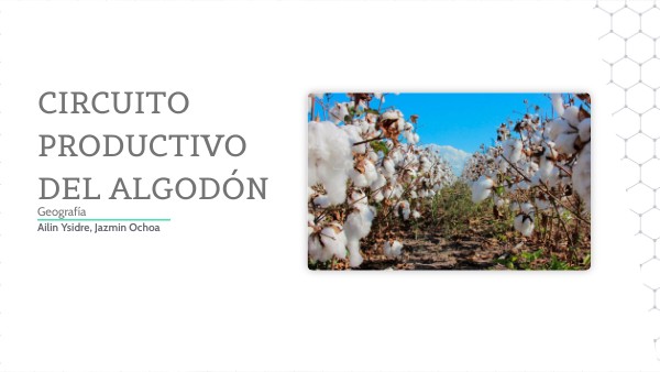 Algodón presentación