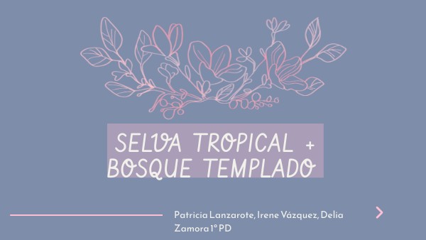Selva Tropical + Bosque Templado