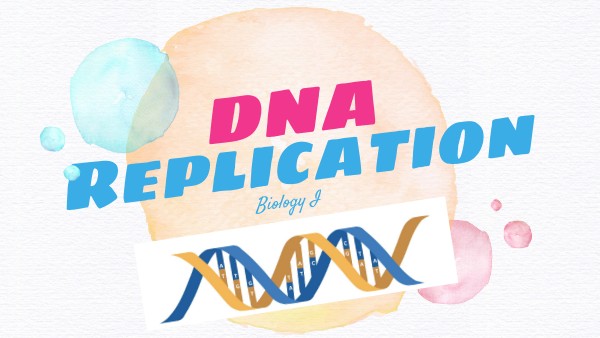 DNA Replication
