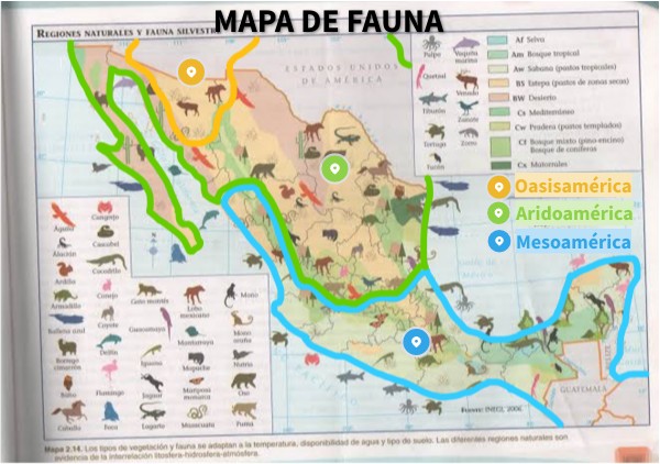 MAPA DE FAUNA DULCE MARÍA CANO AVIÑA 2ºA | Genially