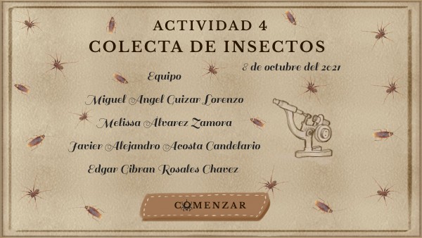 Colecta de Insectos | Genially