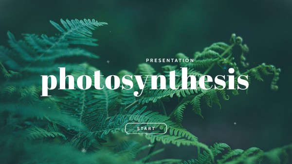 PHOTOSYNTHESIS PRESENTATION