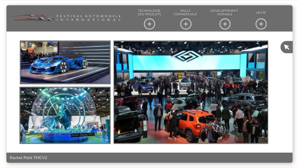 BOHO MICROSITE GUIDE