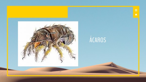 Ácaros