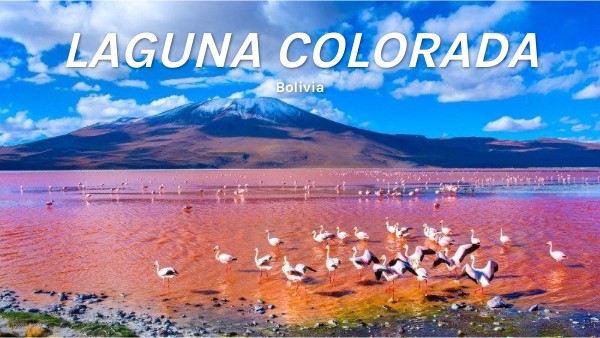 laguna colorada | Genially