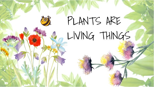 3º PLANTS | Genially