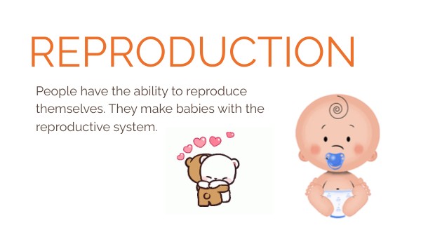 3º REPRODUCTION | Genially