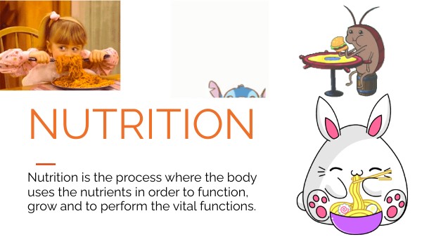 3º NUTRITION - BODY SYSTEMS