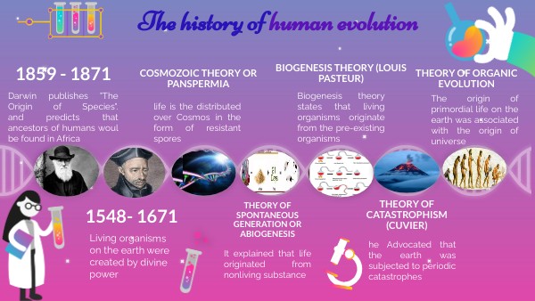 The history of human evolution | Genially