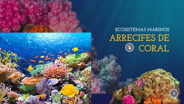 TRABAJO DE ECOSISTEMAS MARINOS LOS ARRECIFES CORALES
