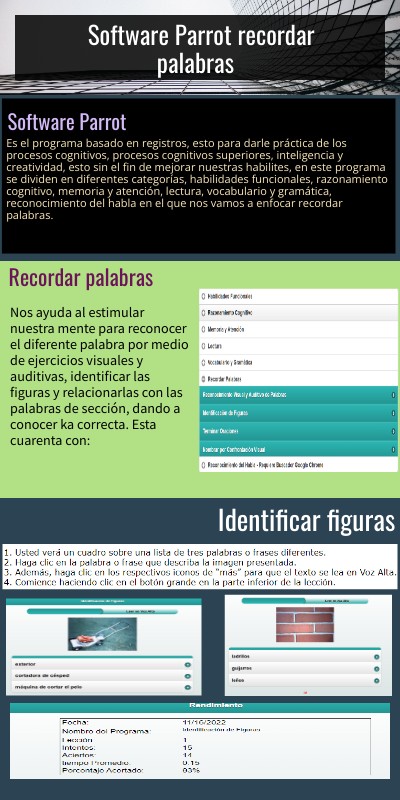 Software Parrot recordar palabras