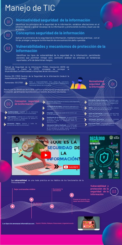 Infografía Manejo de TIC