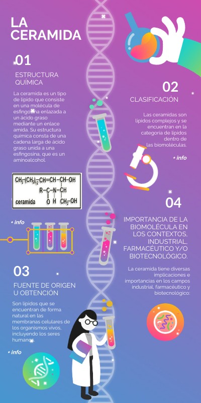 La ceramida | Genially