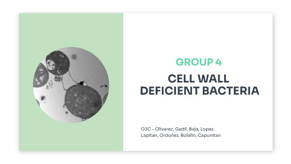 CELL WALL DEFICIENT BACTERIA | Genially