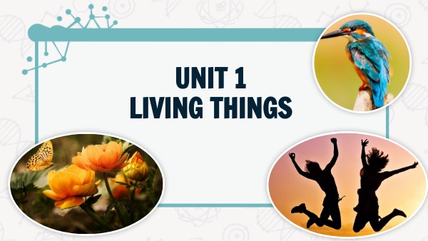 UNIT 1. LIVING THINGS | Genially