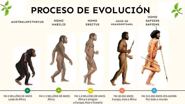 PROCESO DE EVOLUCIÓN | Genially