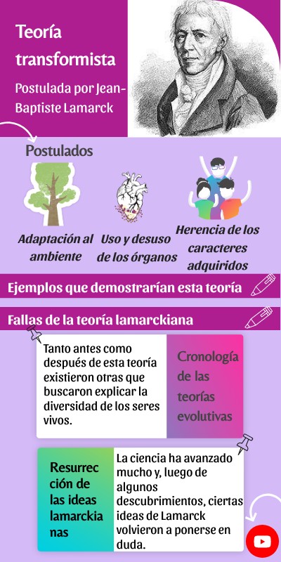 Teoría transformista