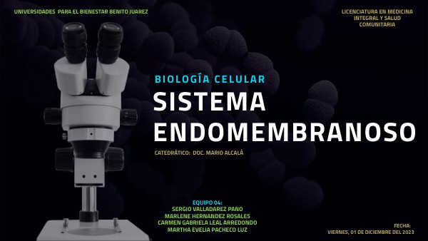 SISTEMA ENDOMEMBRANOSO | Genially