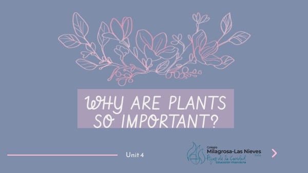 PLANTS, UNIT 4 | Genially