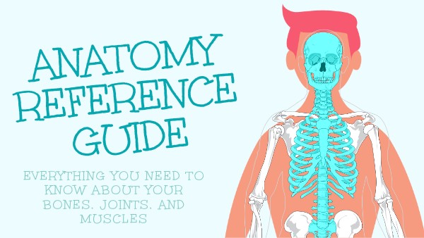 Anatomy Reference Guide - Lauren Robinson