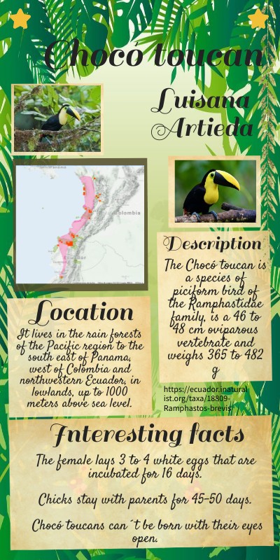 Amazing Animals Project (English) | Genially