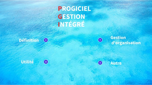 Définition du PGI
