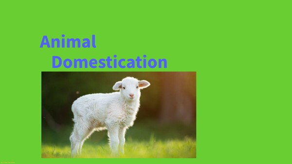 Animals Domestication | Genially