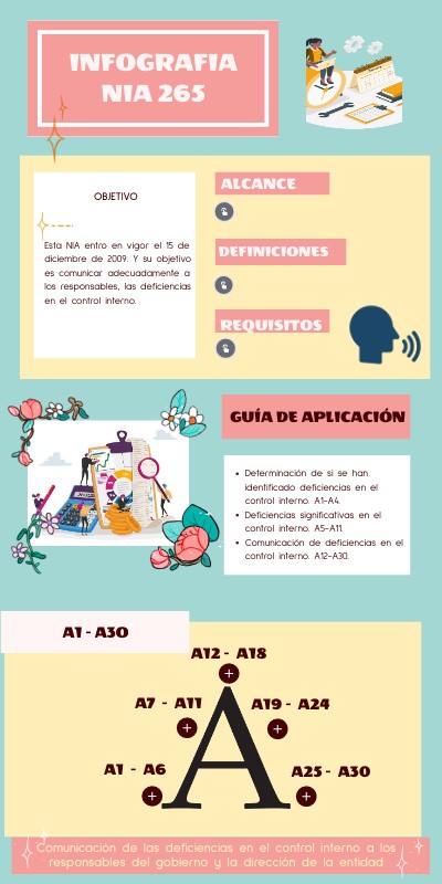 INFOGRAFÍA NIA 265 | Genially